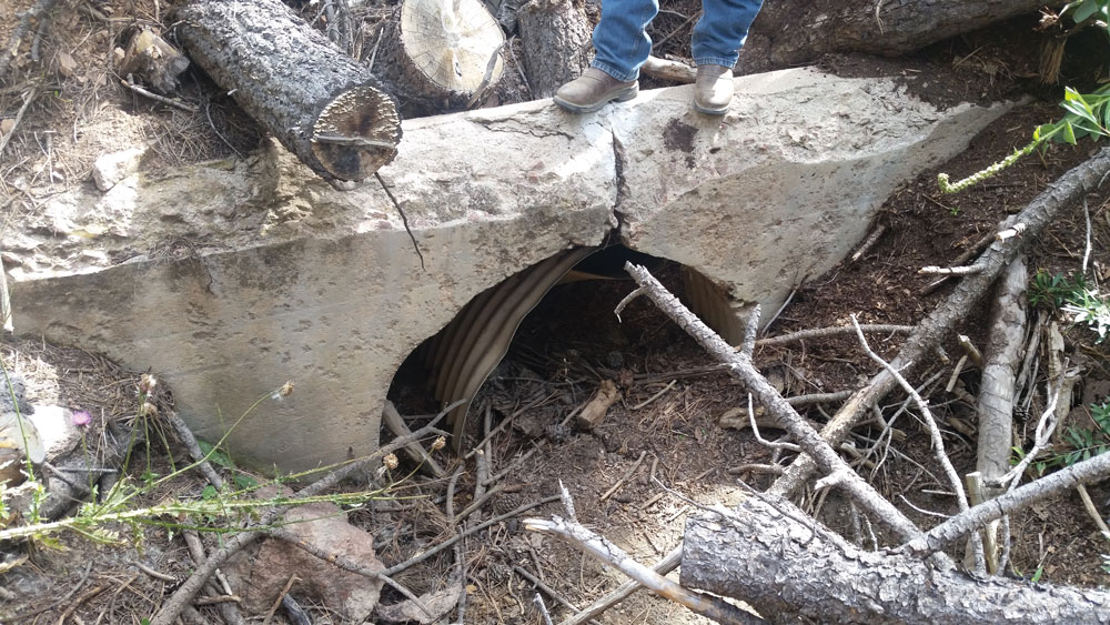 CMP Meets its Match in New Pipe Ramming Technique