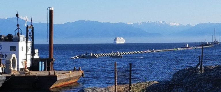 McLoughlin Point Outfall Project Sets Record, Earns National Award