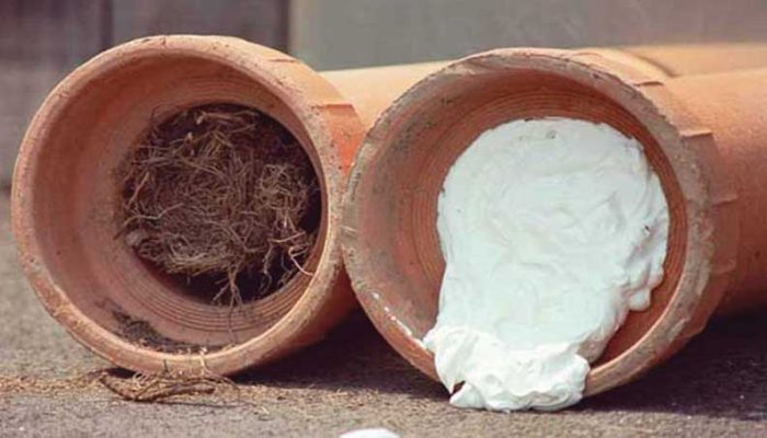 Root Control Success in New Castle County, Delaware