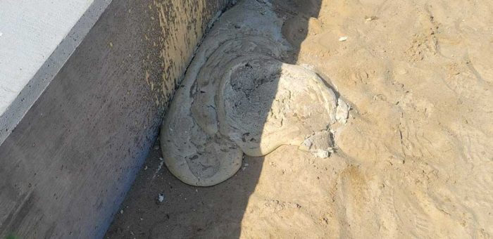 How Grout Rehabbed a Seawall in the Panama City Marina — Trenchless ...