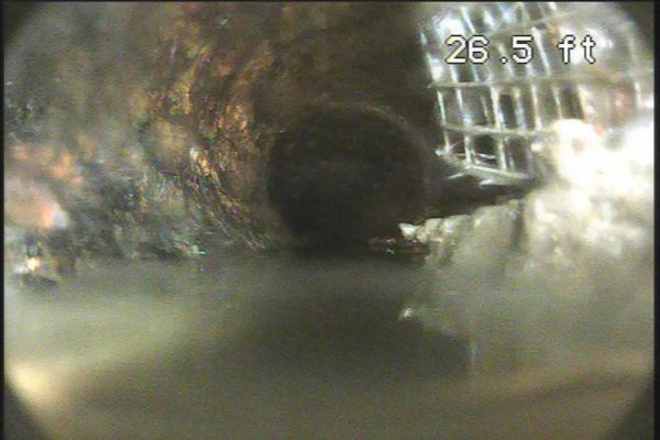 The Importance of Cameras in Small Diameter Work | Trenchless Technology